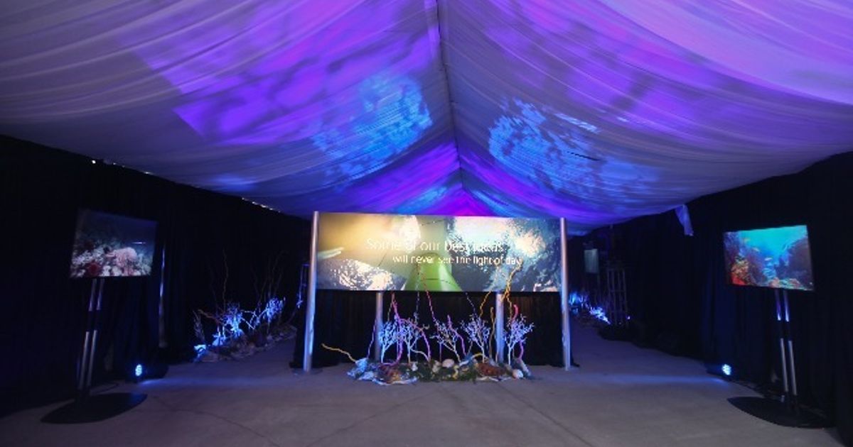 BBVA Compass Stadium | Houston Venue | PartySlate