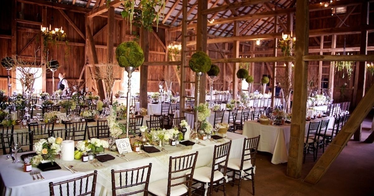 Wicked Willow | Baltimore Design & Floral | PartySlate