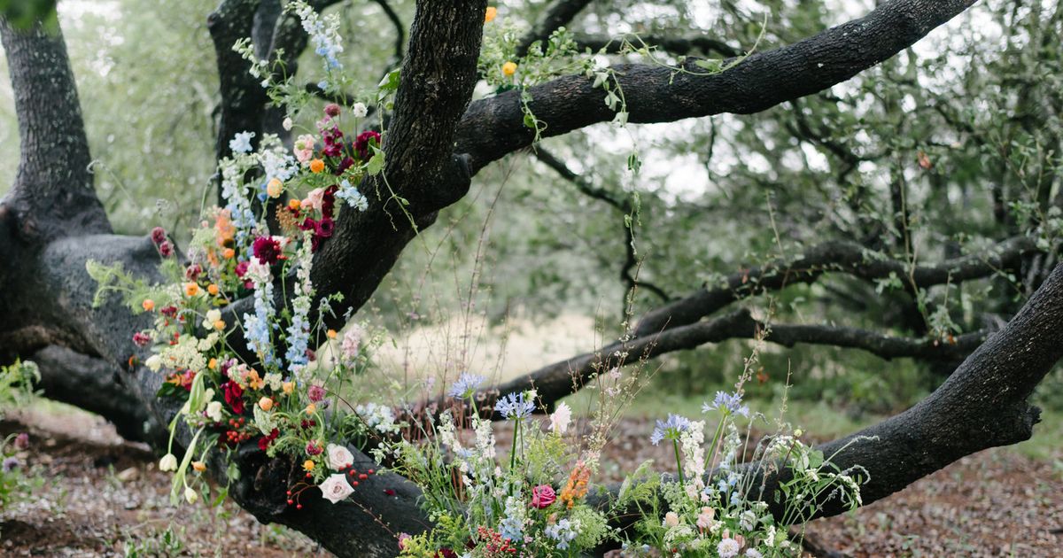 Clementine Botanical Art | Austin Design & Floral | 43 photos | PartySlate