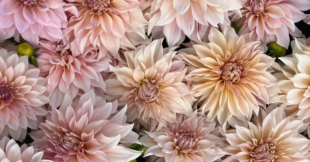 teshuva fields | Crystal Lake Design & Floral | PartySlate