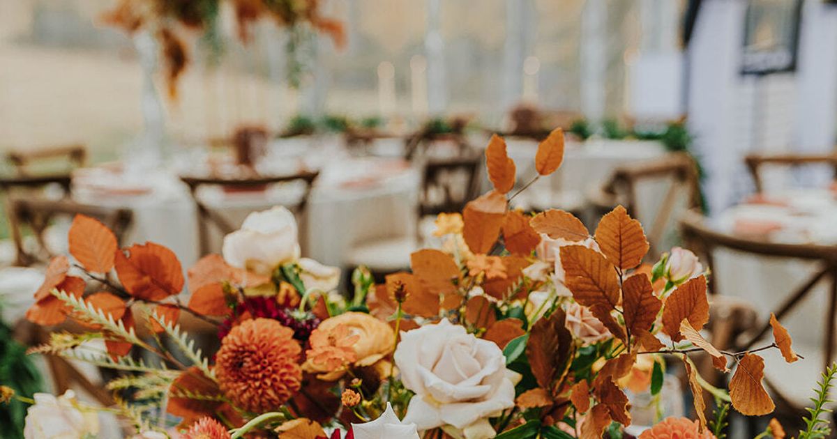 Aesthetic Event Planning | Denver Event Planner | PartySlate