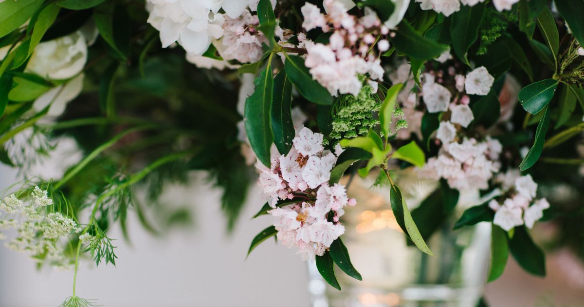 Judith Rae | New York Photographer | 76 photos | PartySlate