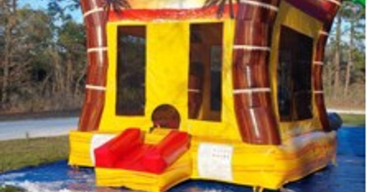 Sunny Inflatables L.L.C. | Spring Hill Rentals | PartySlate