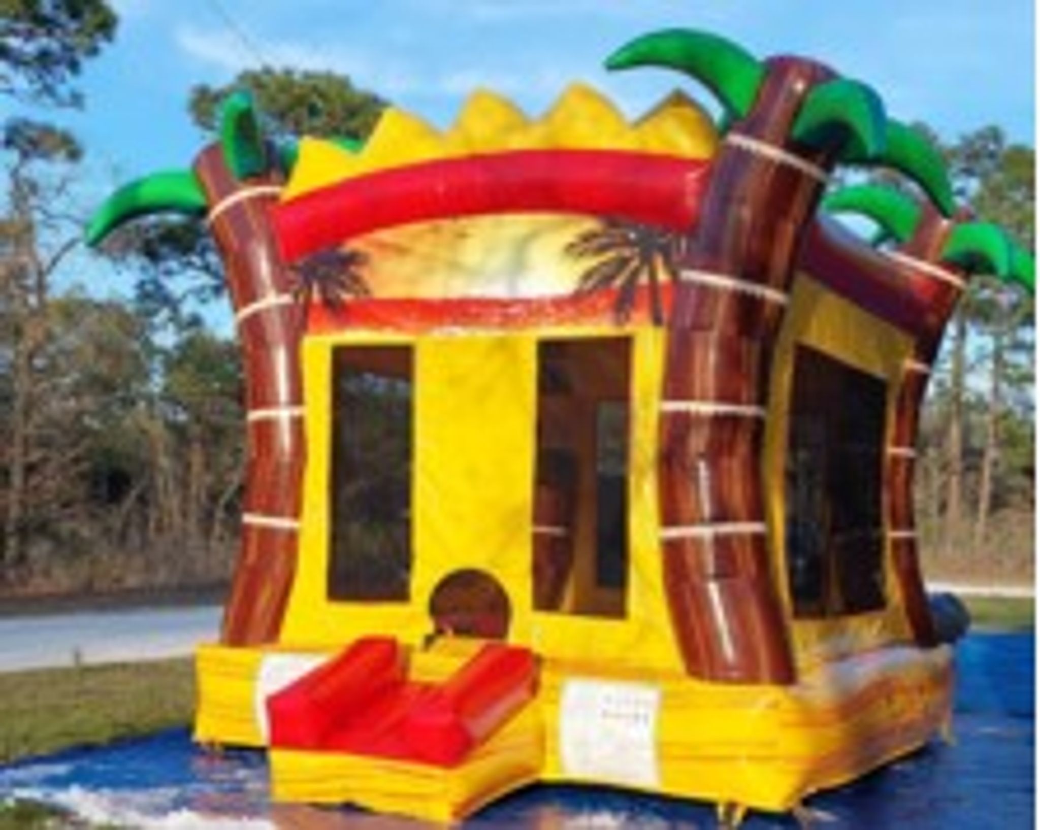 Sunny Inflatables L.L.C. | Spring Hill Rentals | PartySlate