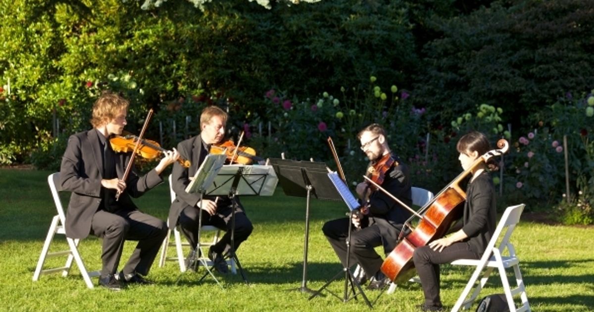 Puget Sound Strings | Seattle Entertainment | PartySlate