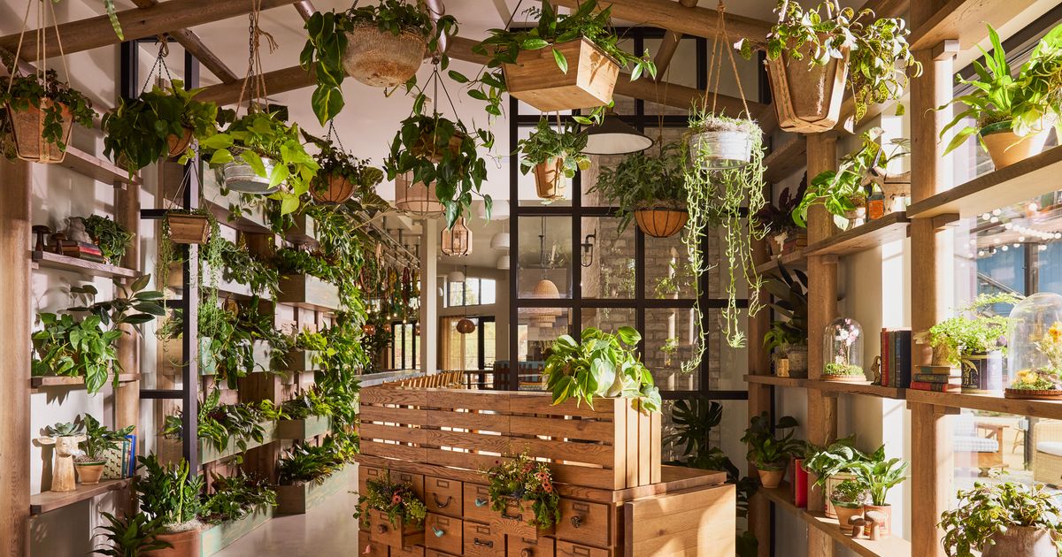 Treehouse Hotel Silicon Valley | Sunnyvale Venue | PartySlate