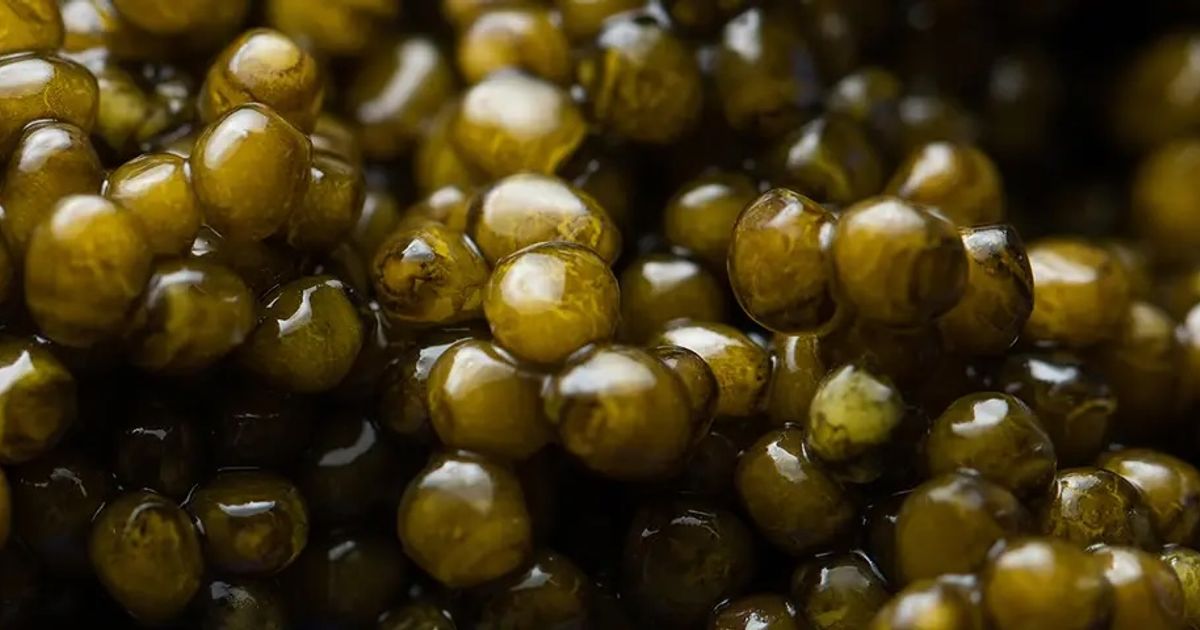 Regiis Ova Caviar | Napa Favors & Gifts | 25 photos | PartySlate