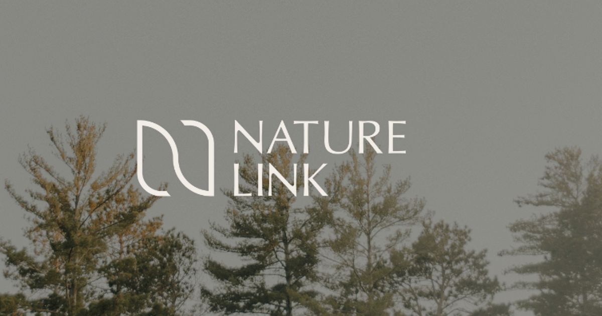 Nature Link Resort | Nisswa Venue | 58 photos | PartySlate