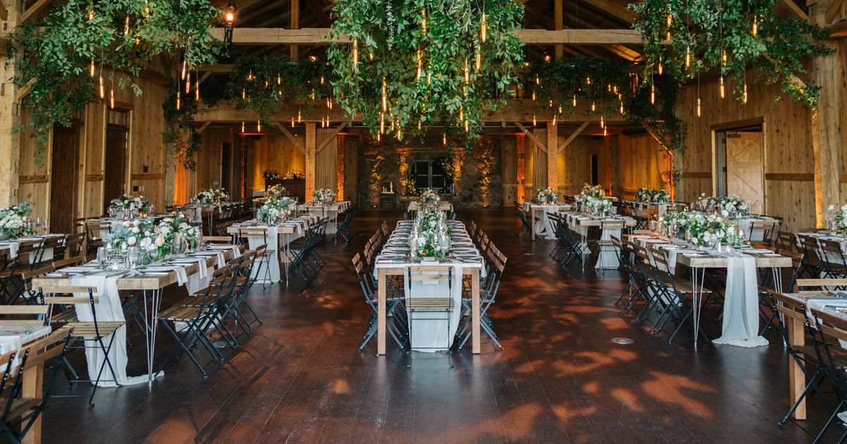 Pink Monkey Solutions | Denver Design & Floral | 57 photos | PartySlate