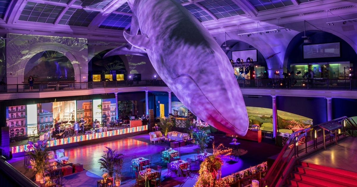WMC Creative | New York Event Planner | 25 photos | PartySlate